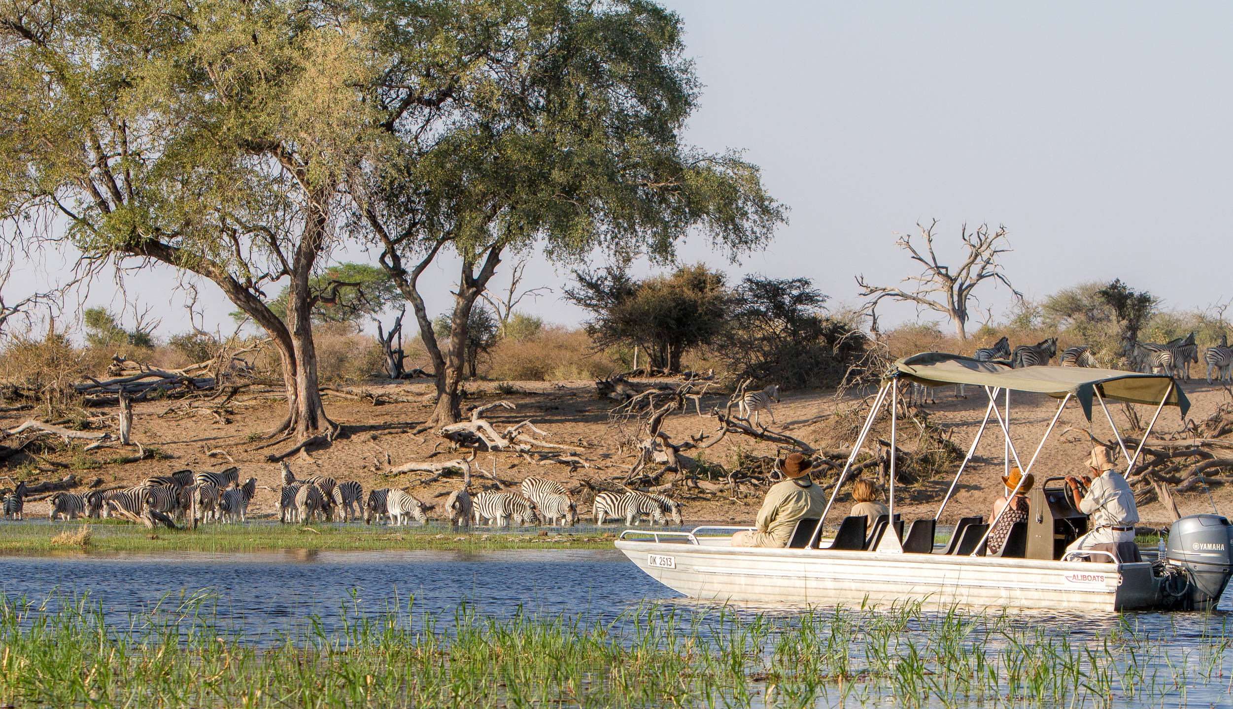 boteti-river-boating-safari-3875 - Fleewinter