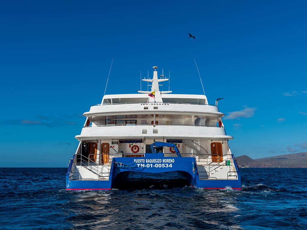 MC OCEAN SPRAY - Fleewinter