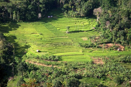 Rangala House, Rangala, Nr Kandy | Fleewinter