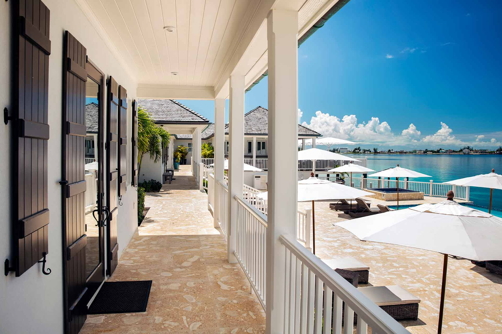 French leave - Fleewinter