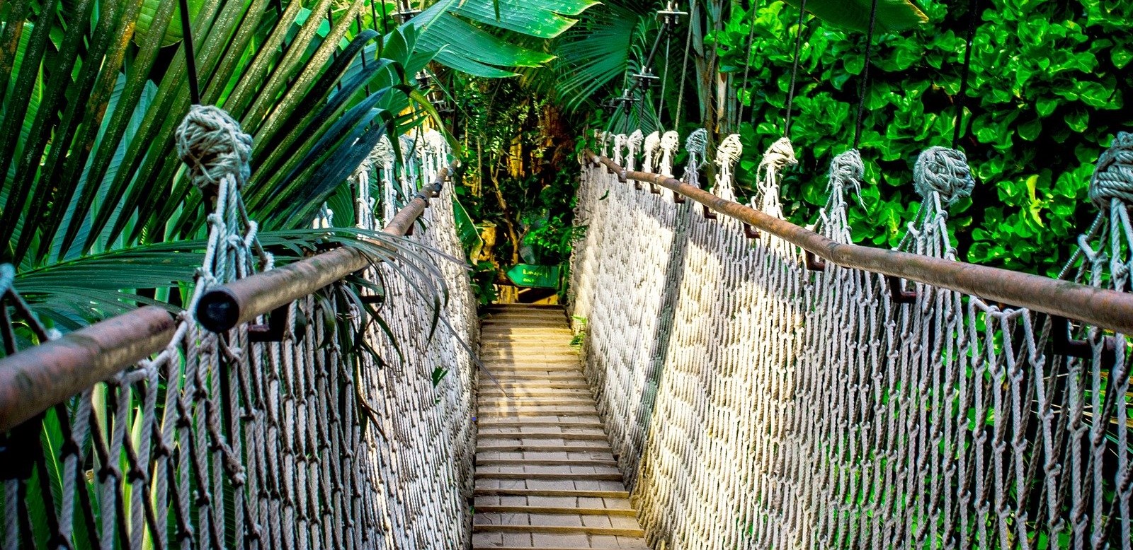 Amazon bridge - Fleewinter