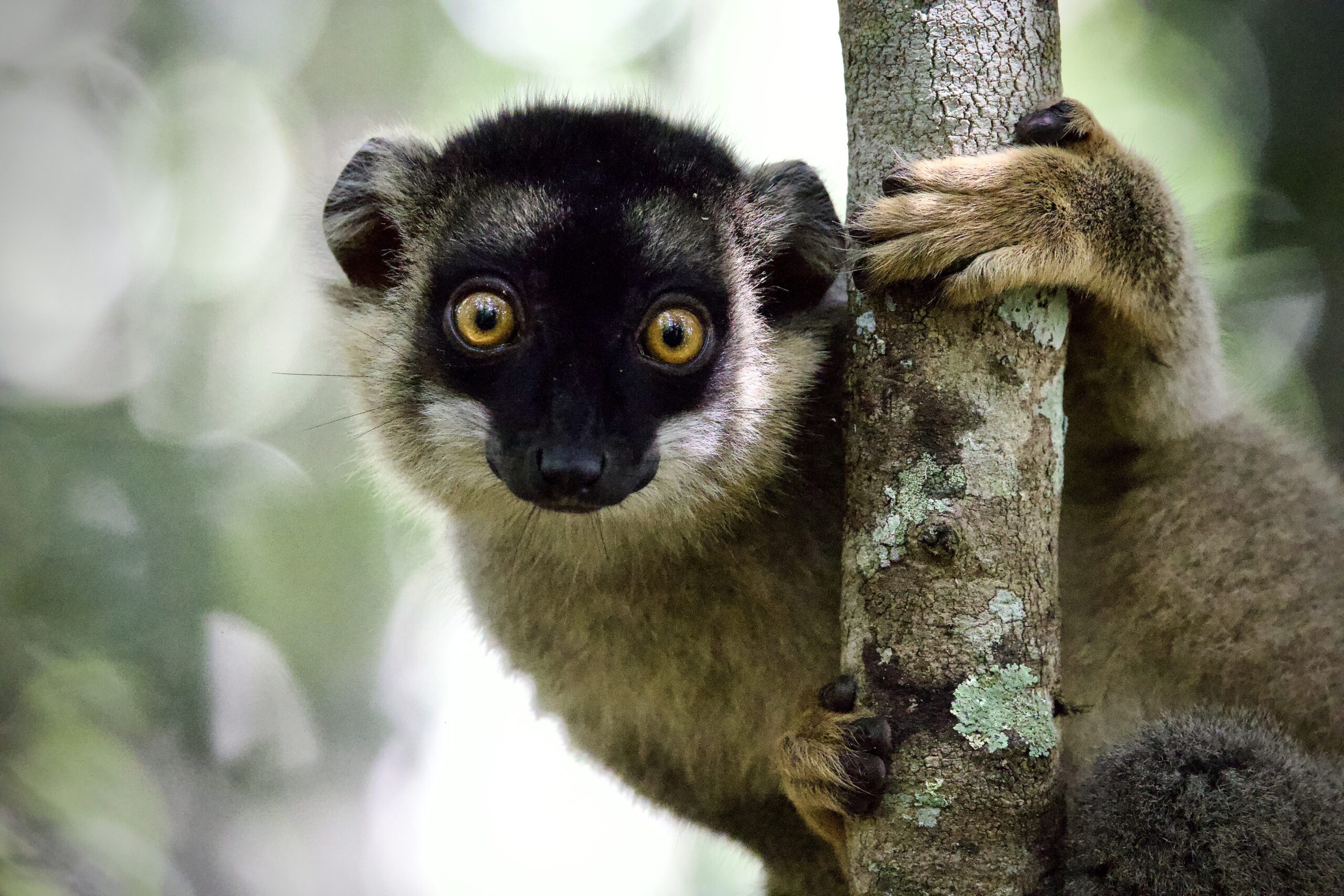 A Taste of Madagascar | A Fleewinter Holiday